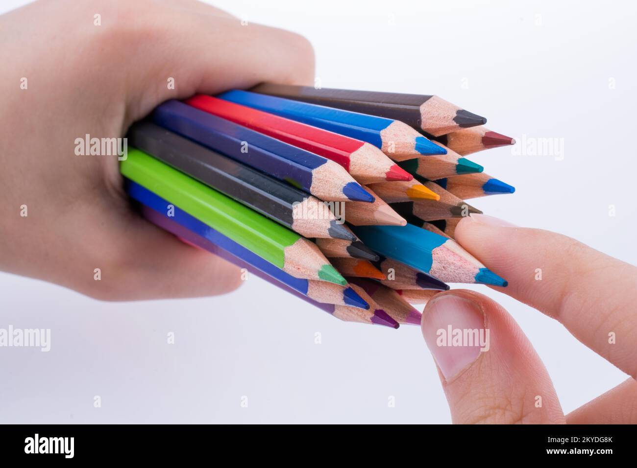 Hand holding color pencils on a white background Stock Photo - Alamy