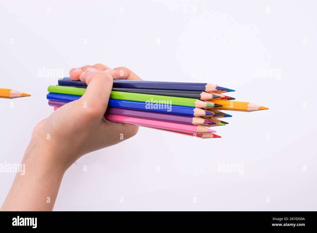 Hand holding color pencils on a white background Stock Photo - Alamy