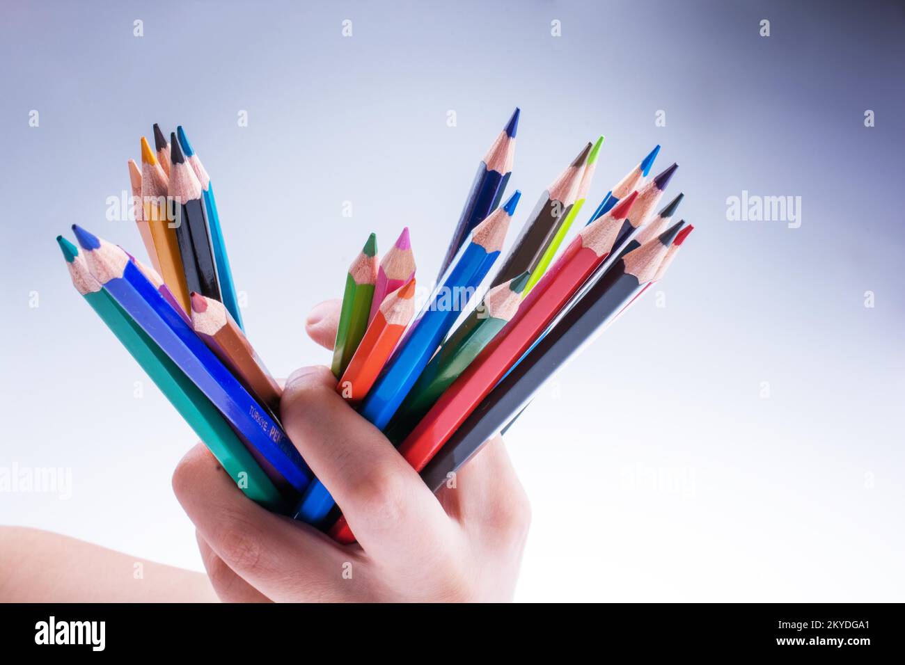Hand holding color pencils on a white background Stock Photo - Alamy