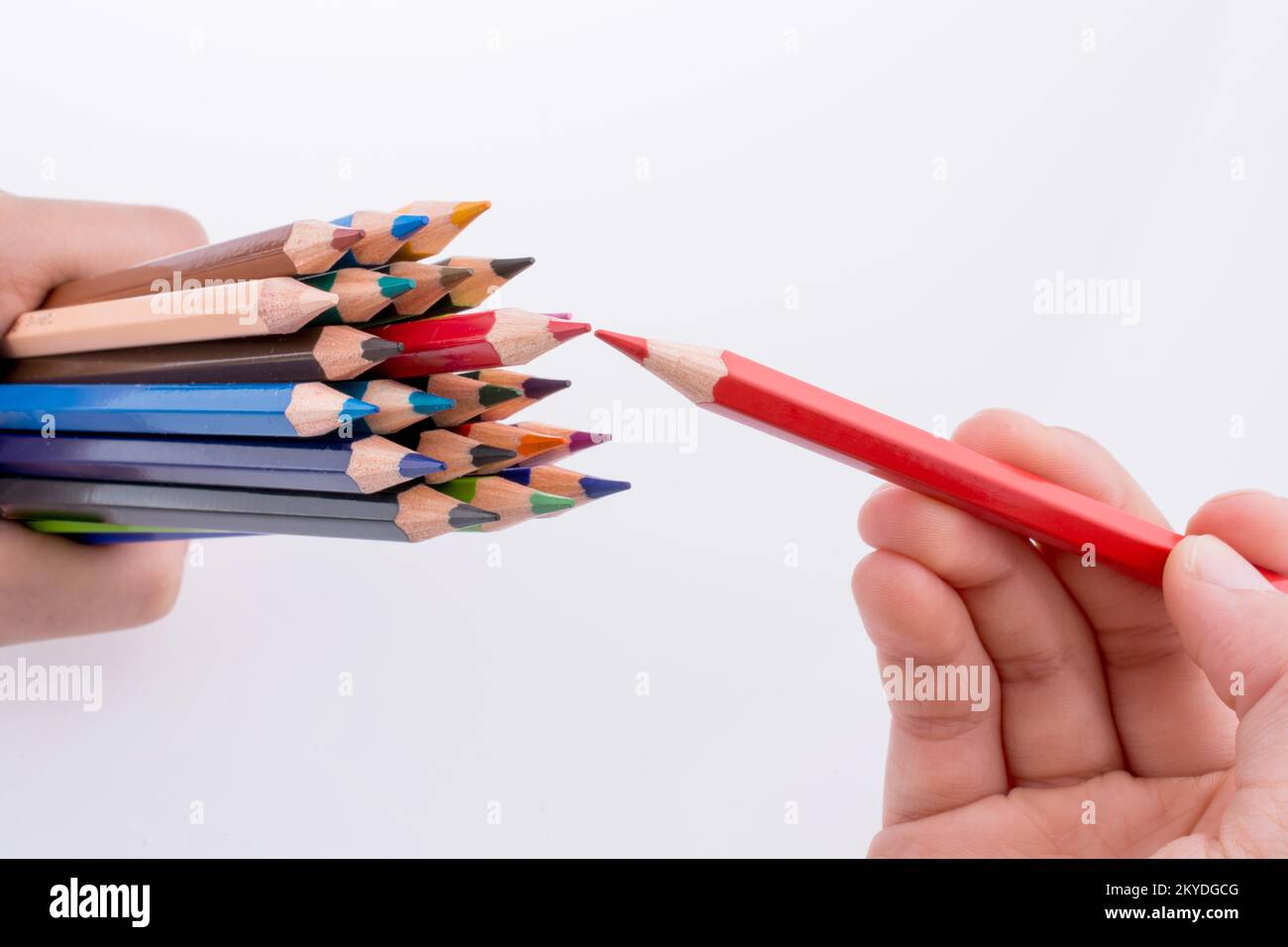 Hand holding color pencils on a white background Stock Photo - Alamy