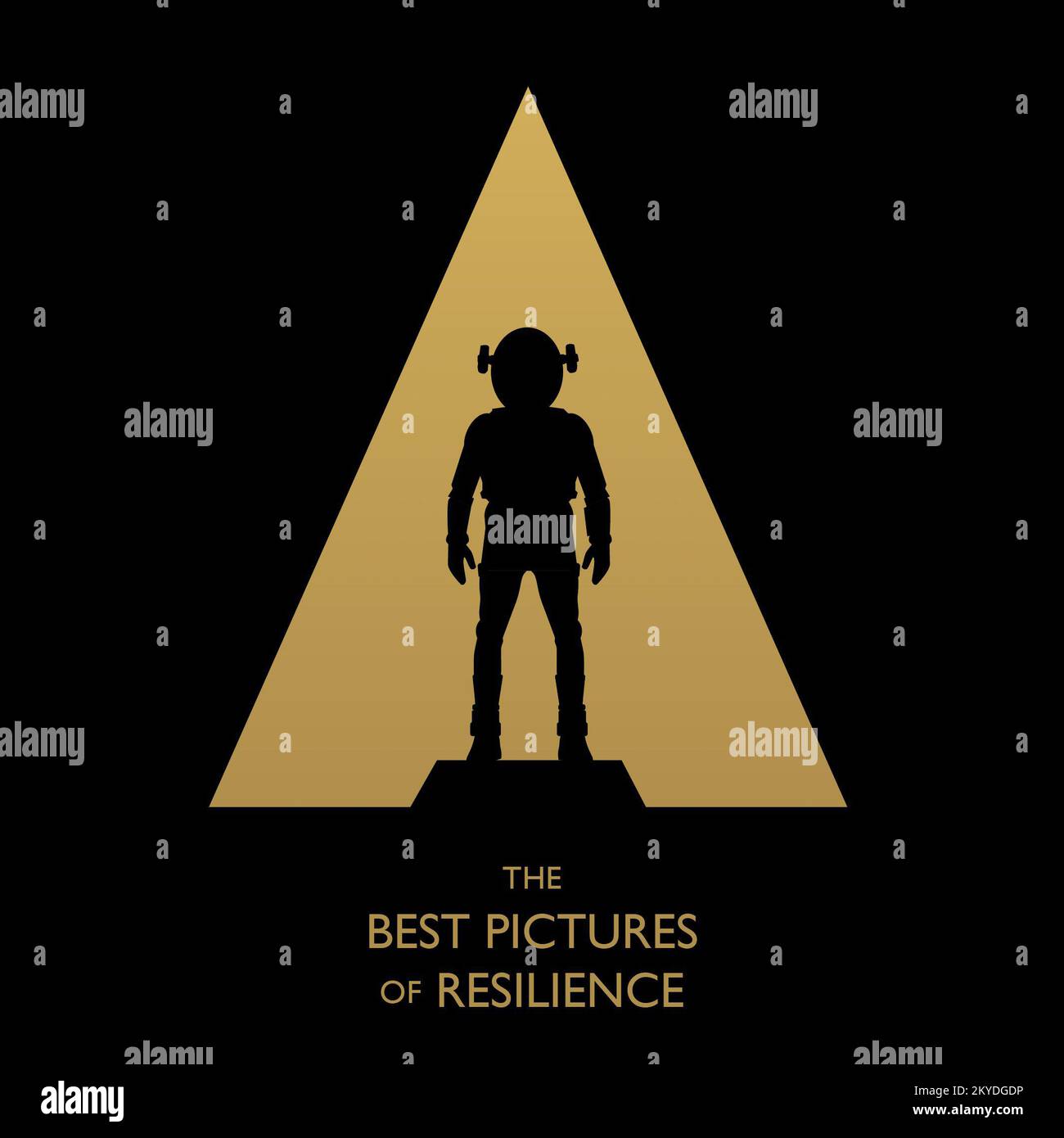 A graphic to promote the blog post, "The Best Pictures of Resilience ...