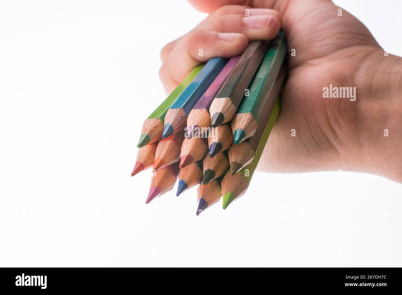Hand holding color pencils on a white background Stock Photo - Alamy