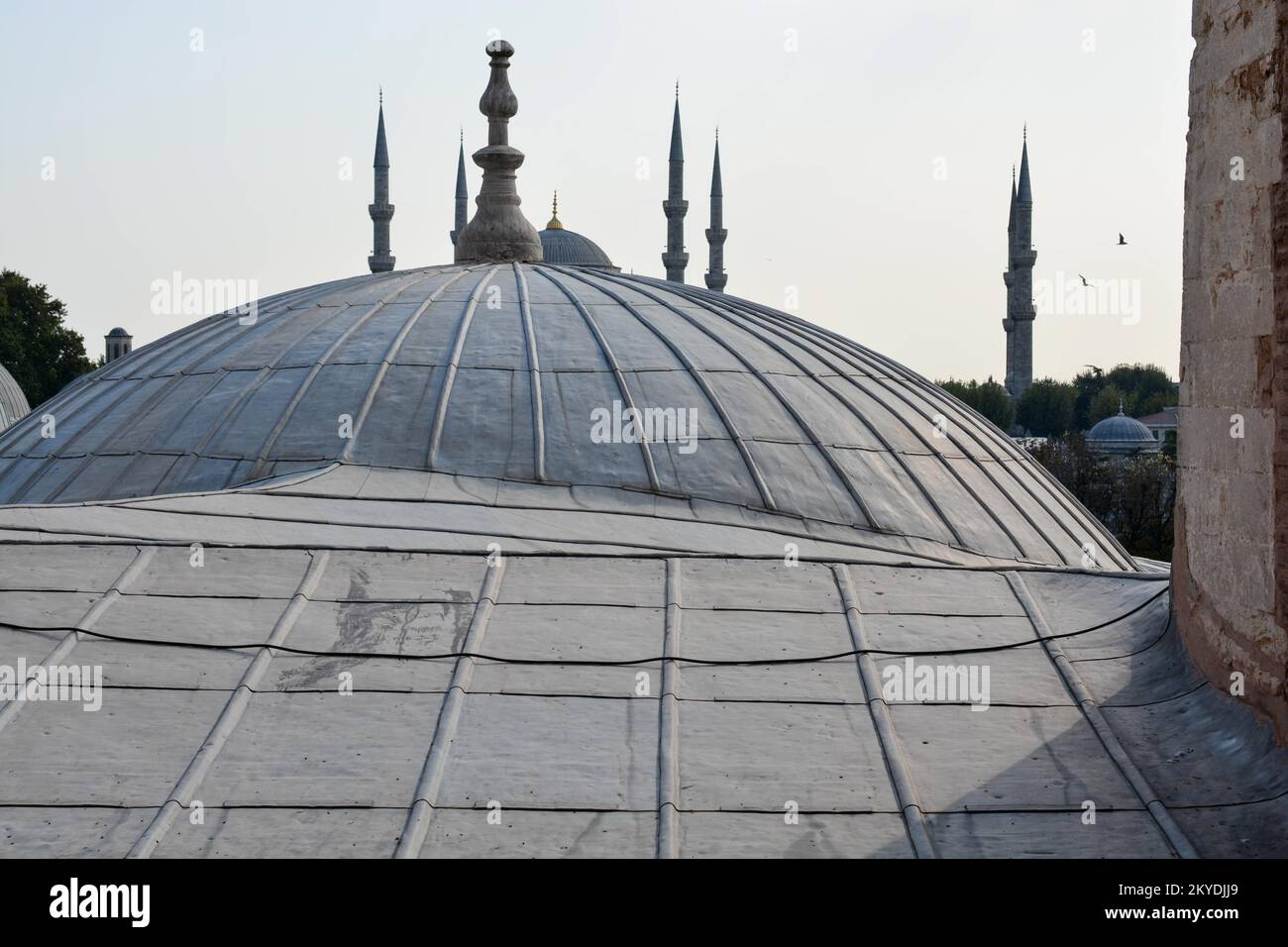 Mosque domes of Istanbul from the Ottoman times Stock Photo - Alamy