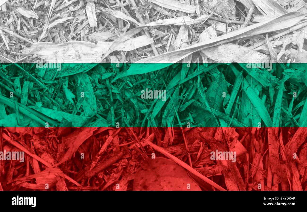 Bulgarian flag texture as background Stock Photo - Alamy