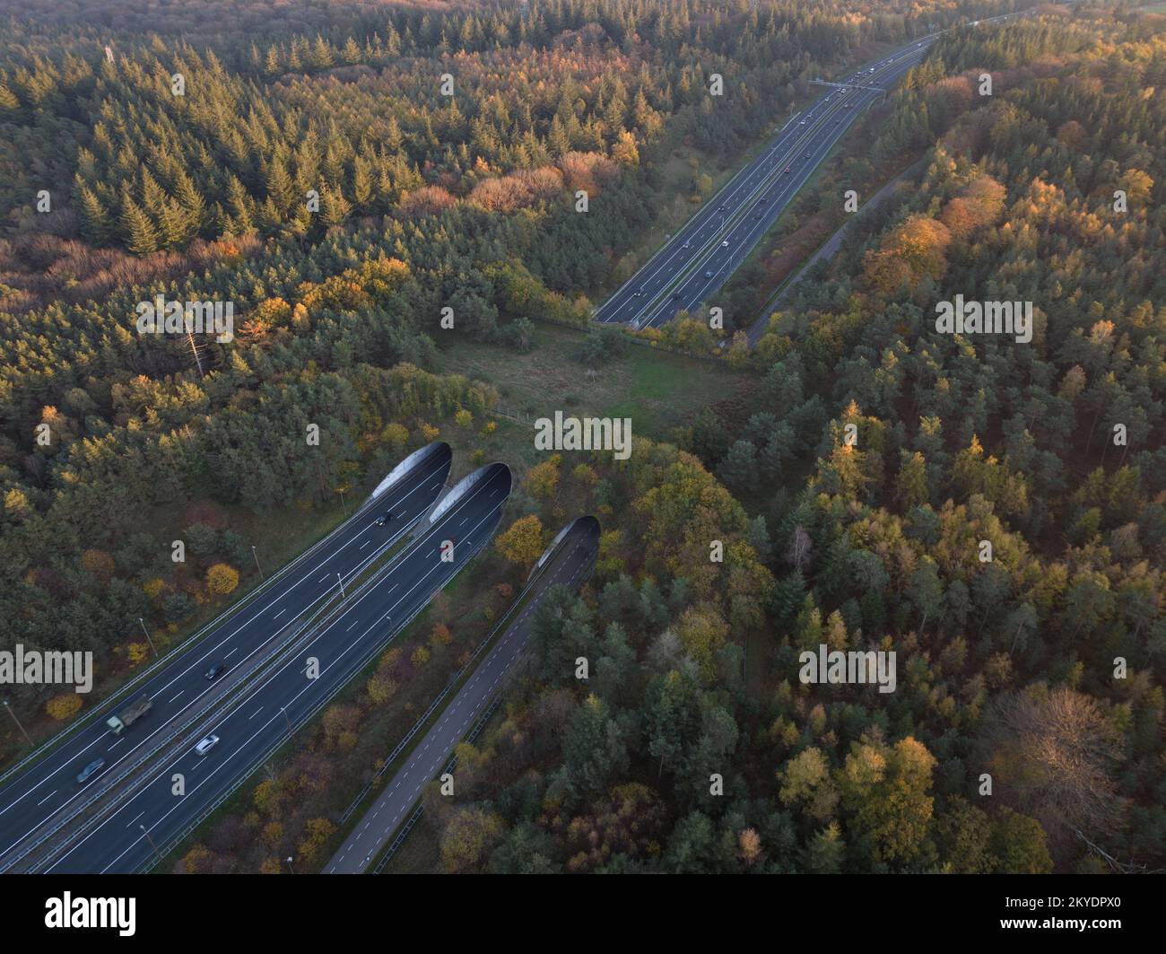 Ecoduct, ecopassage, nature bridge or game changeover. Infrastructure ...