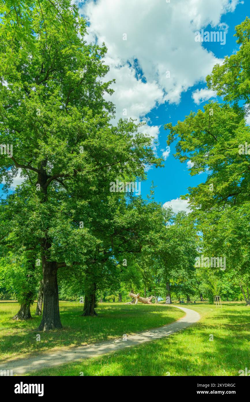 Rosensteinpark, landscape park, 19th century, court gardener Johann ...