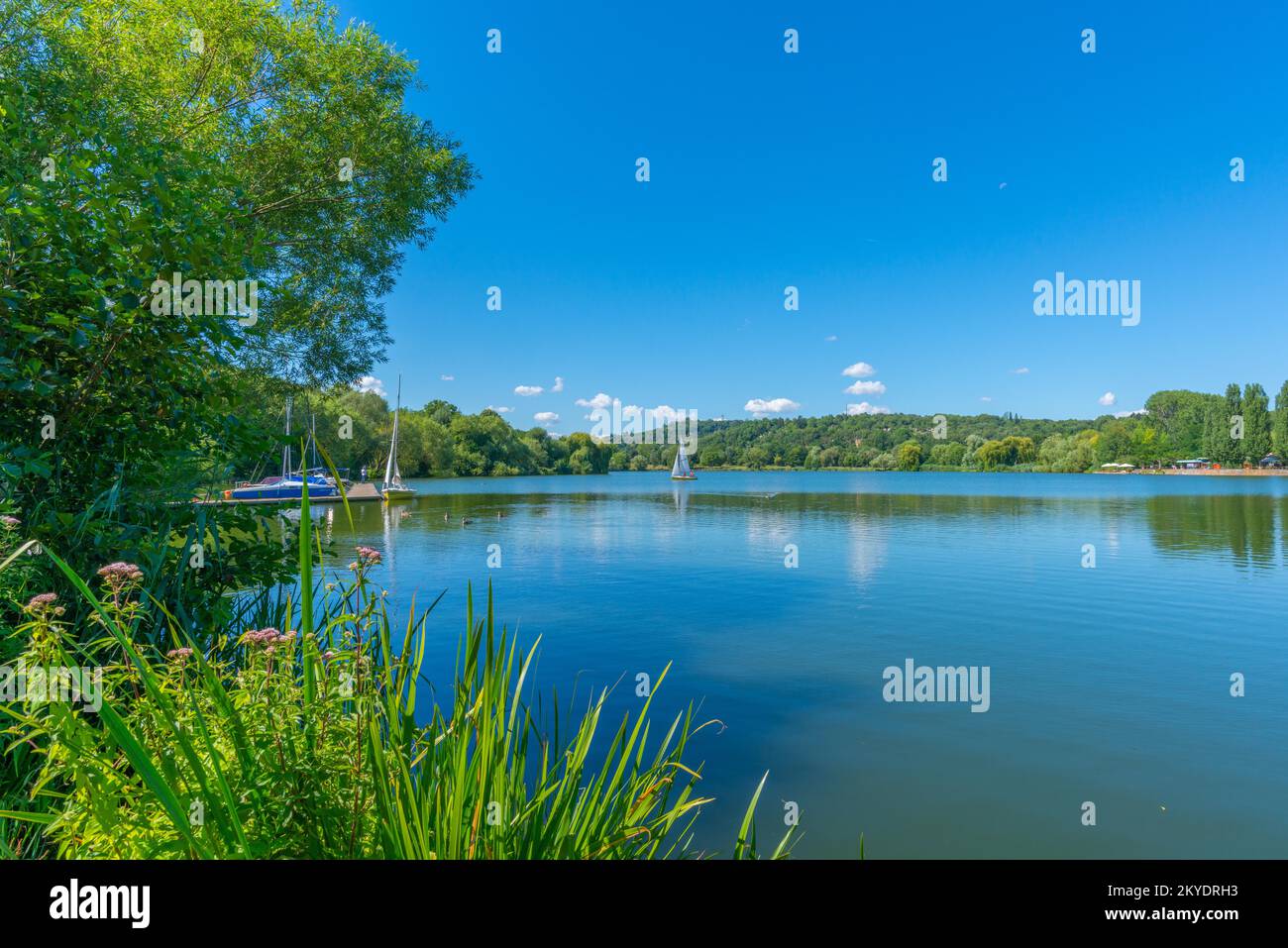 Max-Eyth-See, sailing boats, forest, Stuttgart, district of Muehlhausen ...