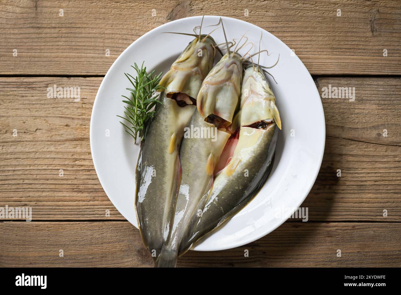 catfish on plate, fresh raw catfish freshwater fish, catfish for cooking food, fish with ...