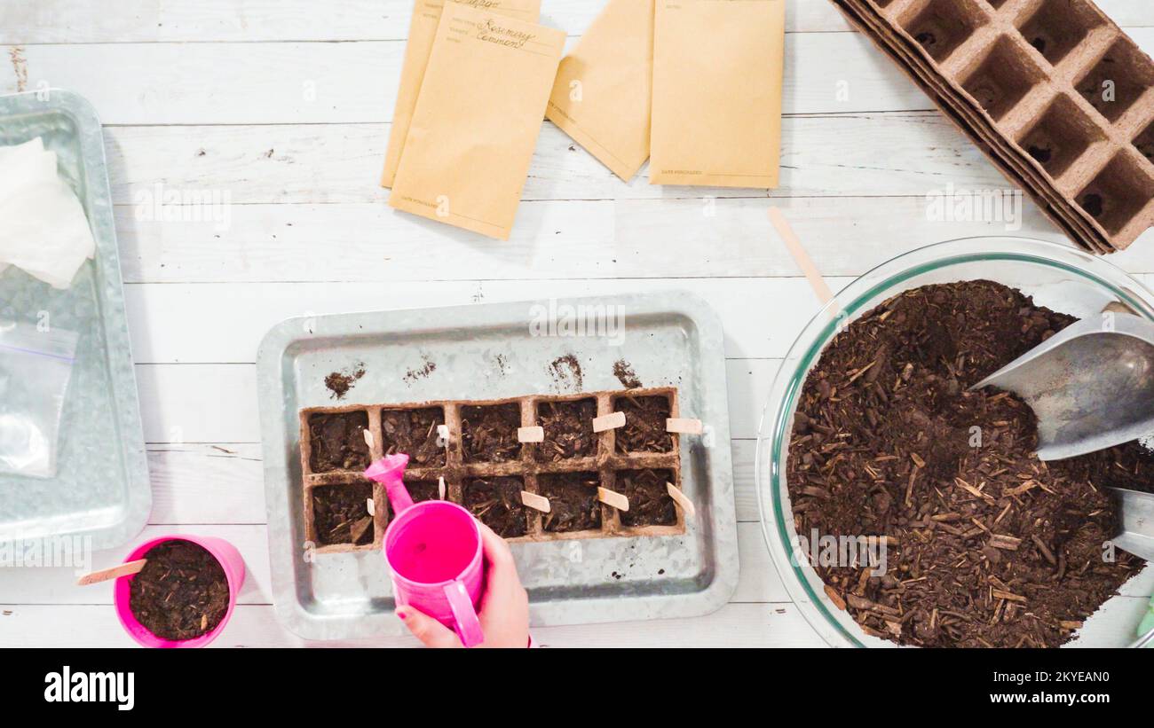 Planting pots step by step hi-res stock photography and images - Alamy