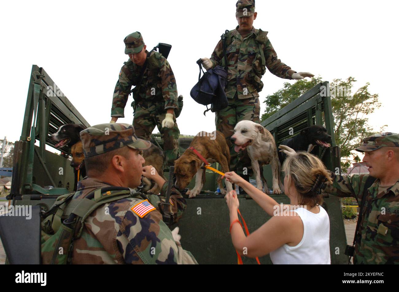 Animal rescue hurricane katrina hi-res stock photography and images - Alamy