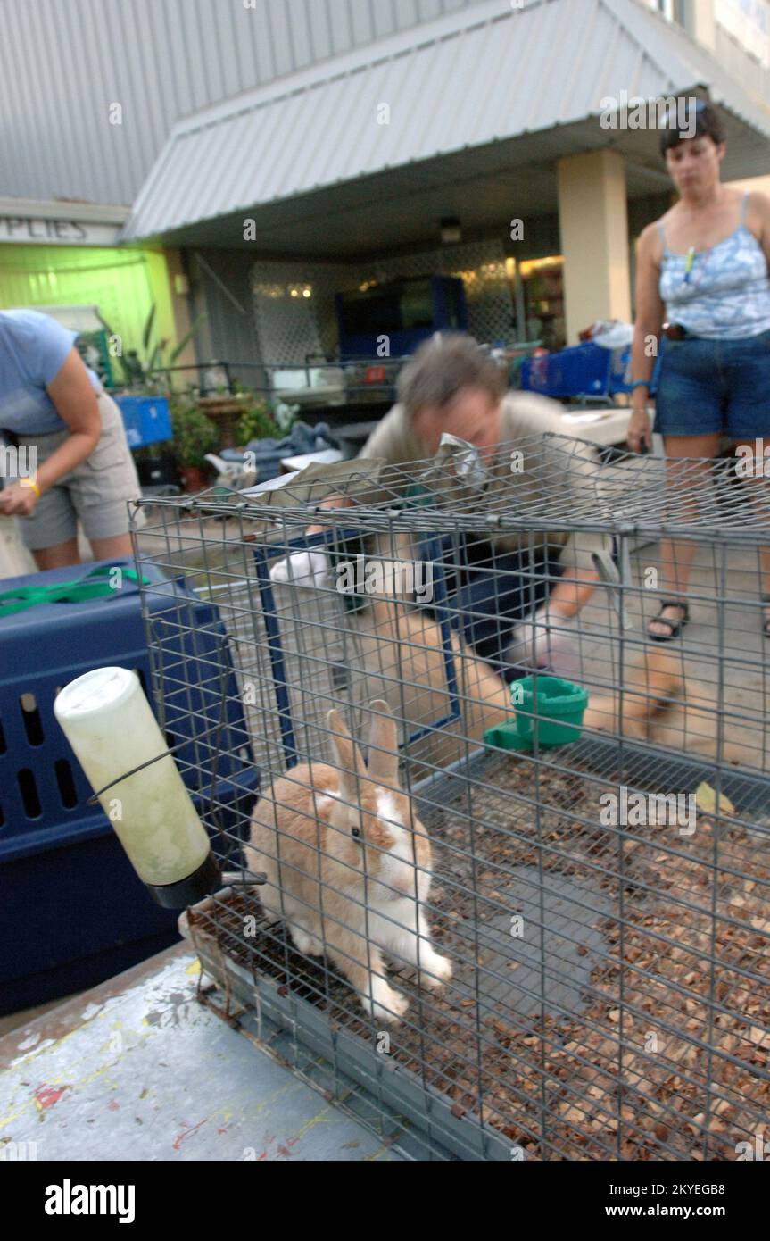 Animals helping each other hi-res stock photography and images - Alamy