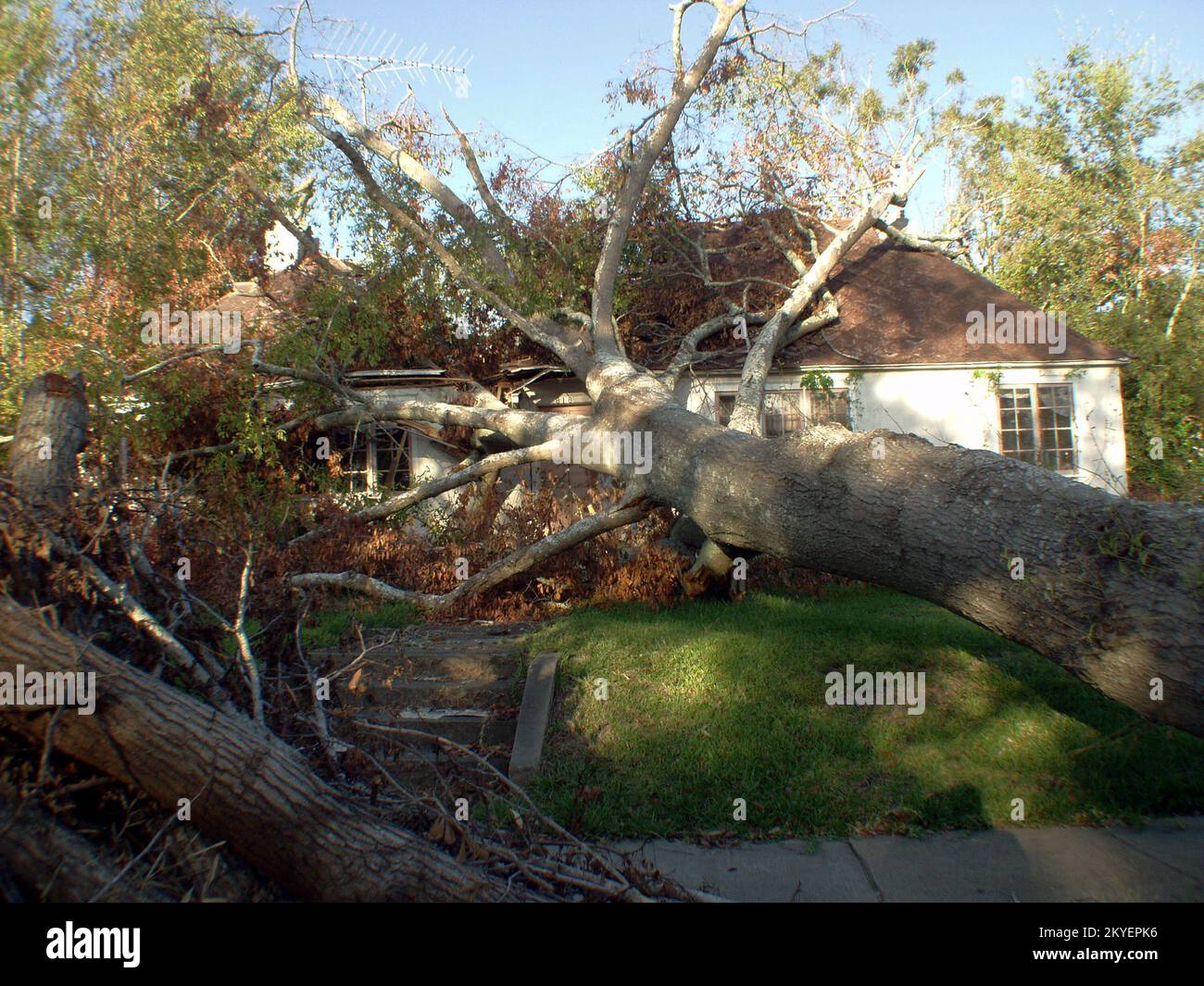 Hurricane Katrina, Laurel, MS. October 8, 2005.- Katrina's strong winds ...