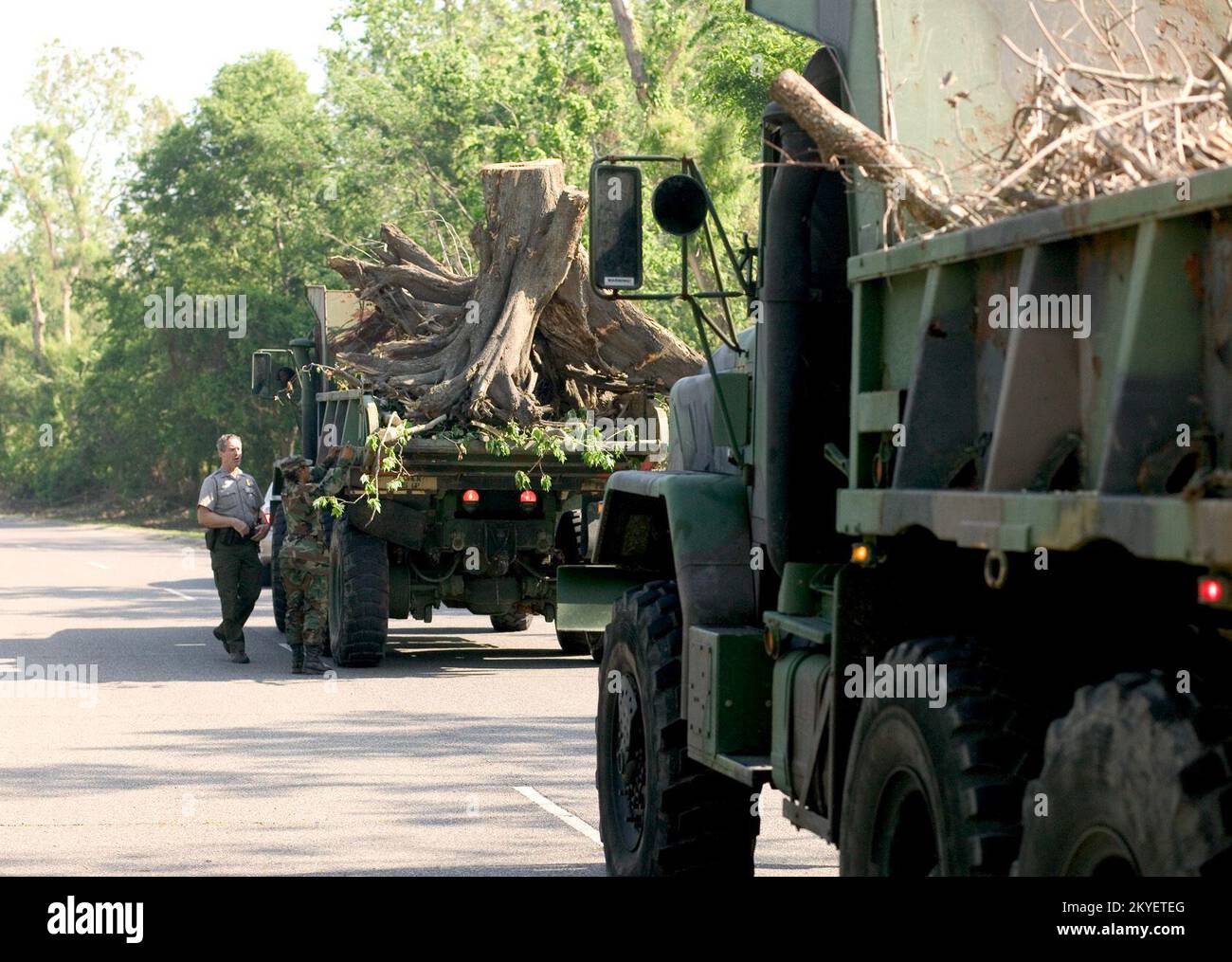 Bayou segnette park hi-res stock photography and images - Alamy