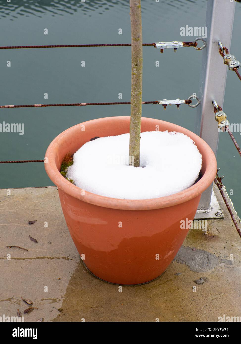 Flower pot with snow Stock Photo - Alamy