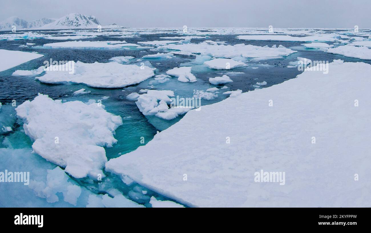Drift floating Ice and Snowcapped Mountains, Iceberg, Ice Floes, Albert ...