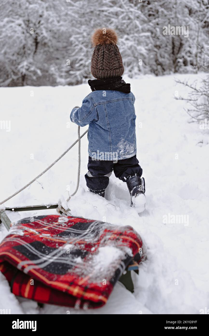 Little boy on a walk with a sled in a snowy winter Stock Photo - Alamy