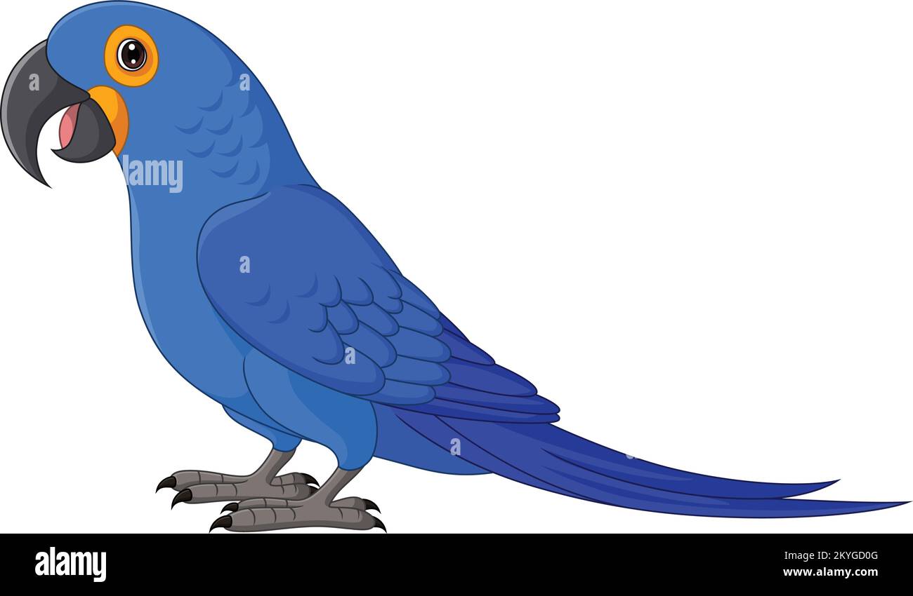 Macaw in brazil Stock Vector Images - Alamy