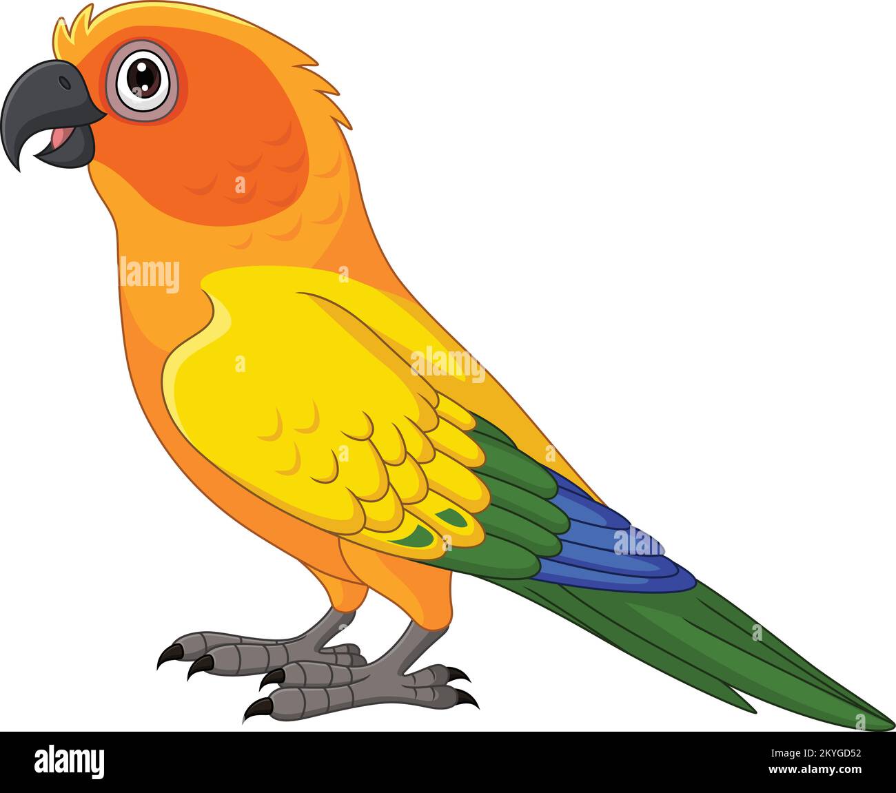 Cartoon Conure Jenday Parakeet on White Background Stock Vector Image ...