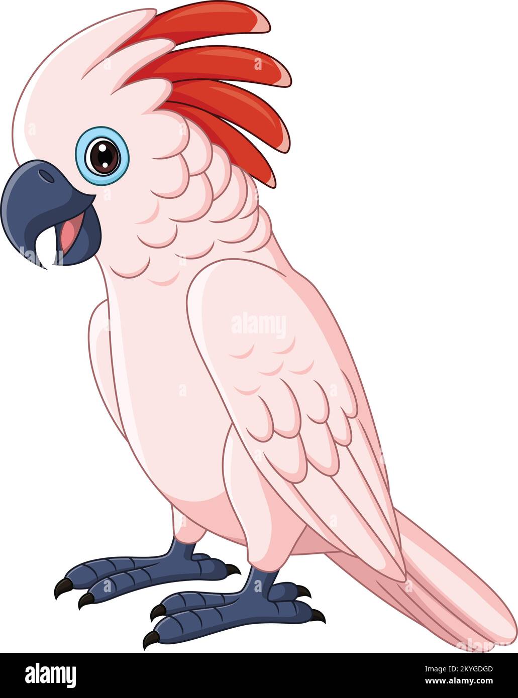 Cartoon Moluccan Cockatoo Parrot on White Background Stock Vector Image ...