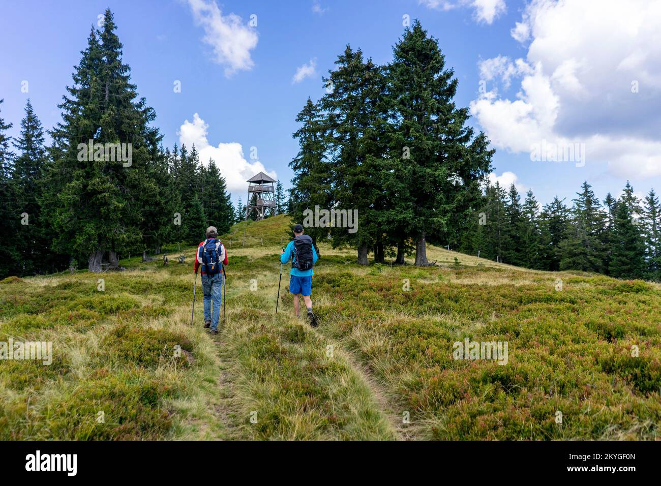 Trekking in the mountains of Slovenia, at Smrekovec region Stock Photo ...