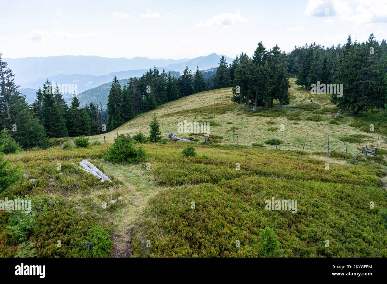 Trekking in the mountains of Slovenia, at Smrekovec region Stock Photo ...