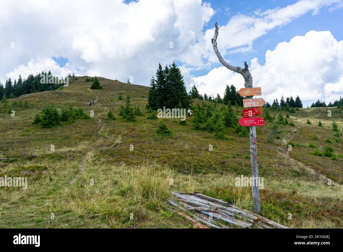 Trekking in the mountains of Slovenia, at Smrekovec region Stock Photo ...