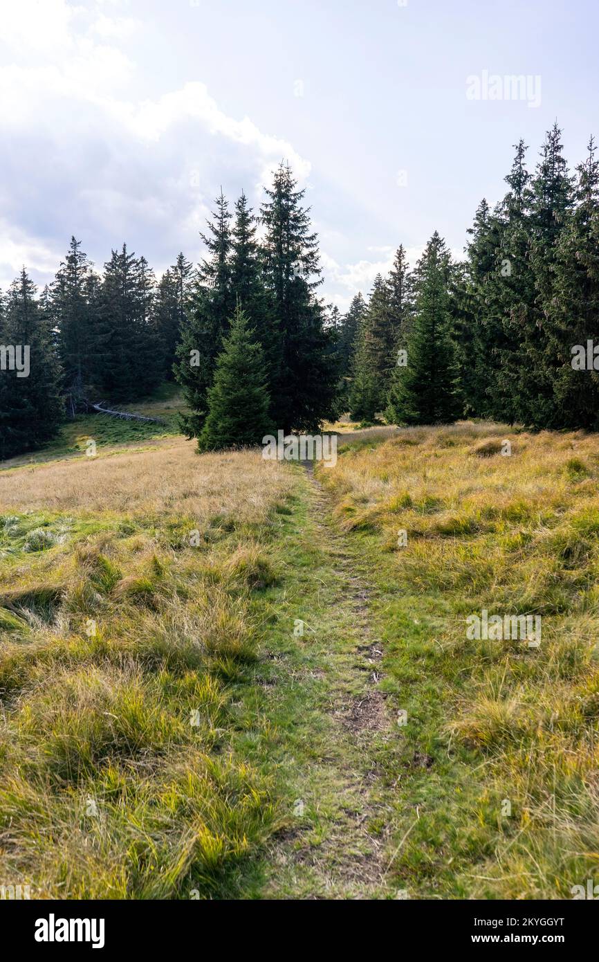 Trekking in the mountains of Slovenia, at Smrekovec region Stock Photo ...
