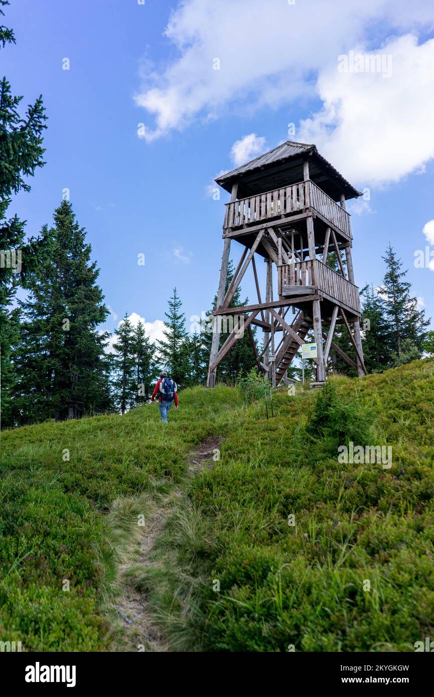 Smrekovec hi-res stock photography and images - Alamy