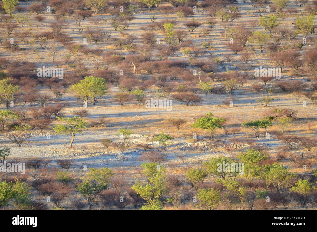 Rocks and Mountains in ugab valley Namibia Africa Stock Photo - Alamy