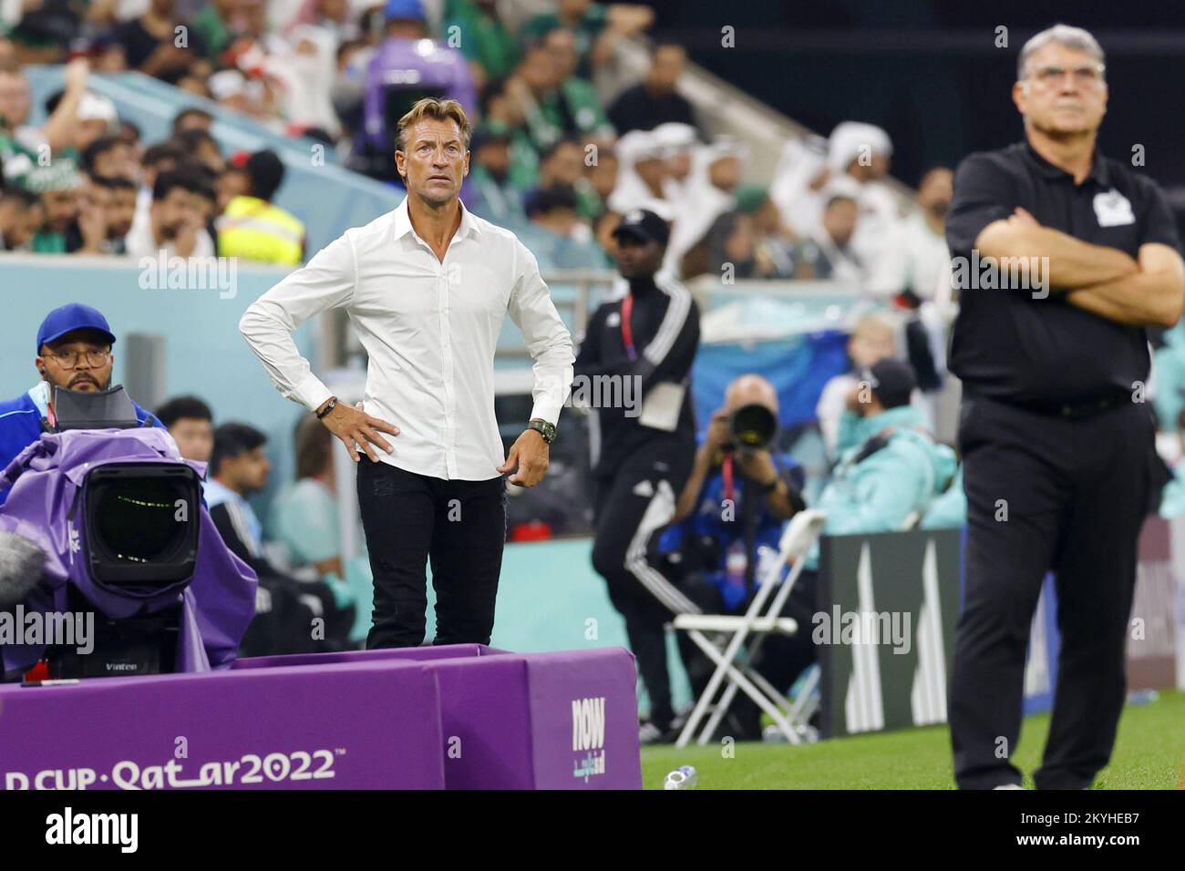 Herve renard saudi hi-res stock photography and images - Alamy