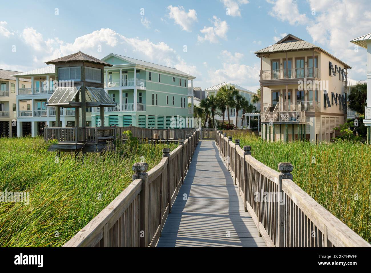 Destin, Florida- Boardwalk over the tall grass plants near the lake and ...
