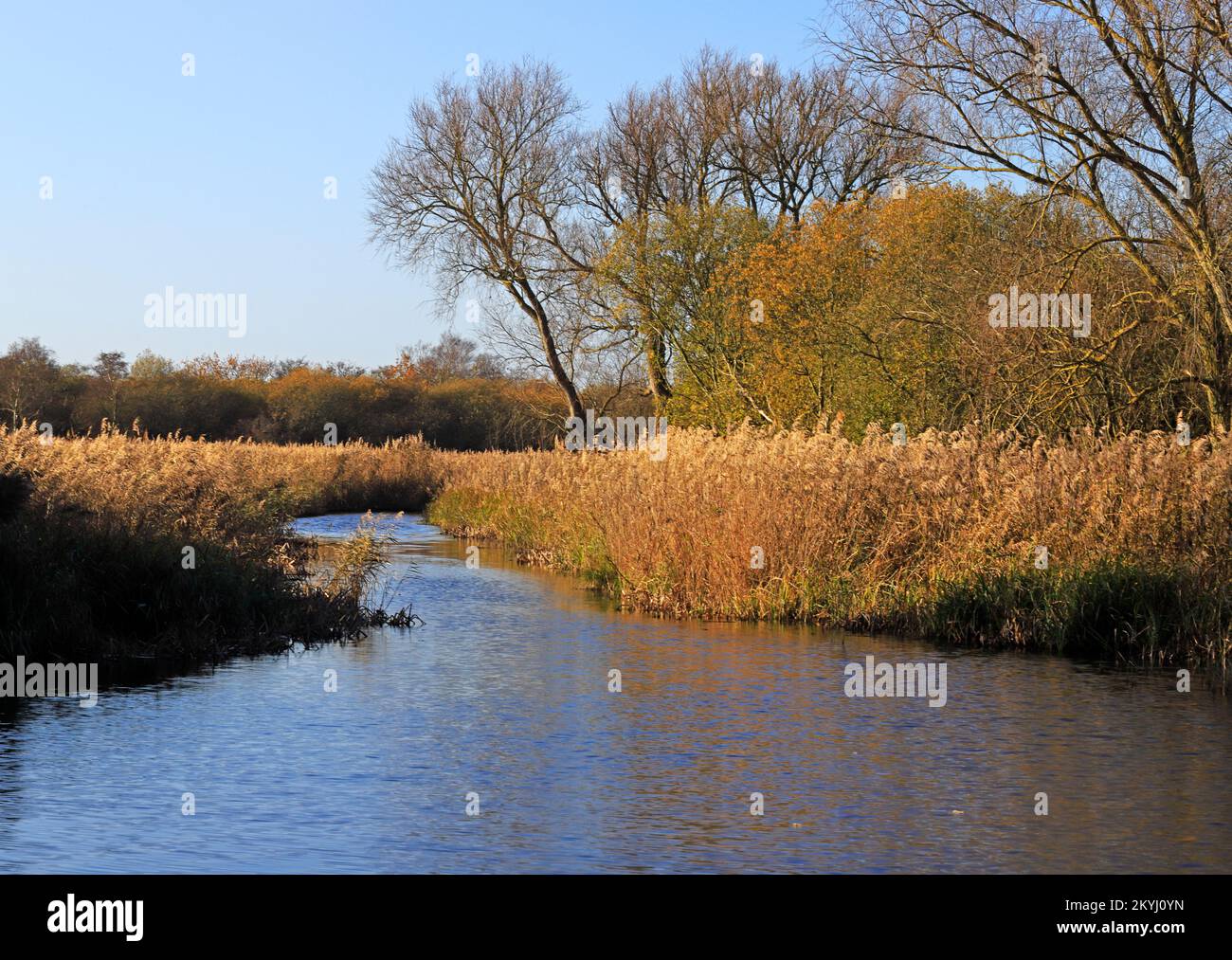 Off river ant hi-res stock photography and images - Alamy
