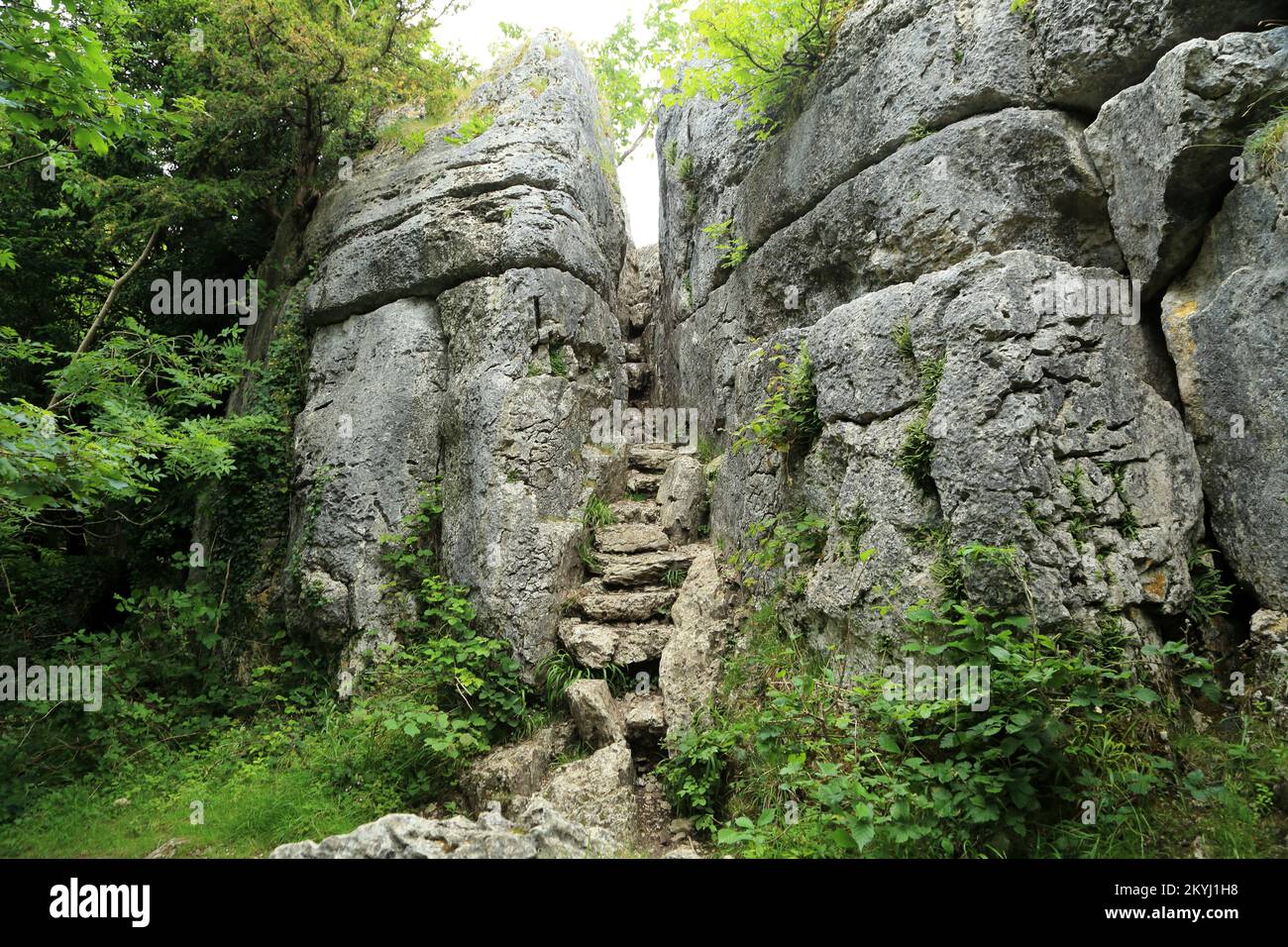 Step formation hi-res stock photography and images - Alamy