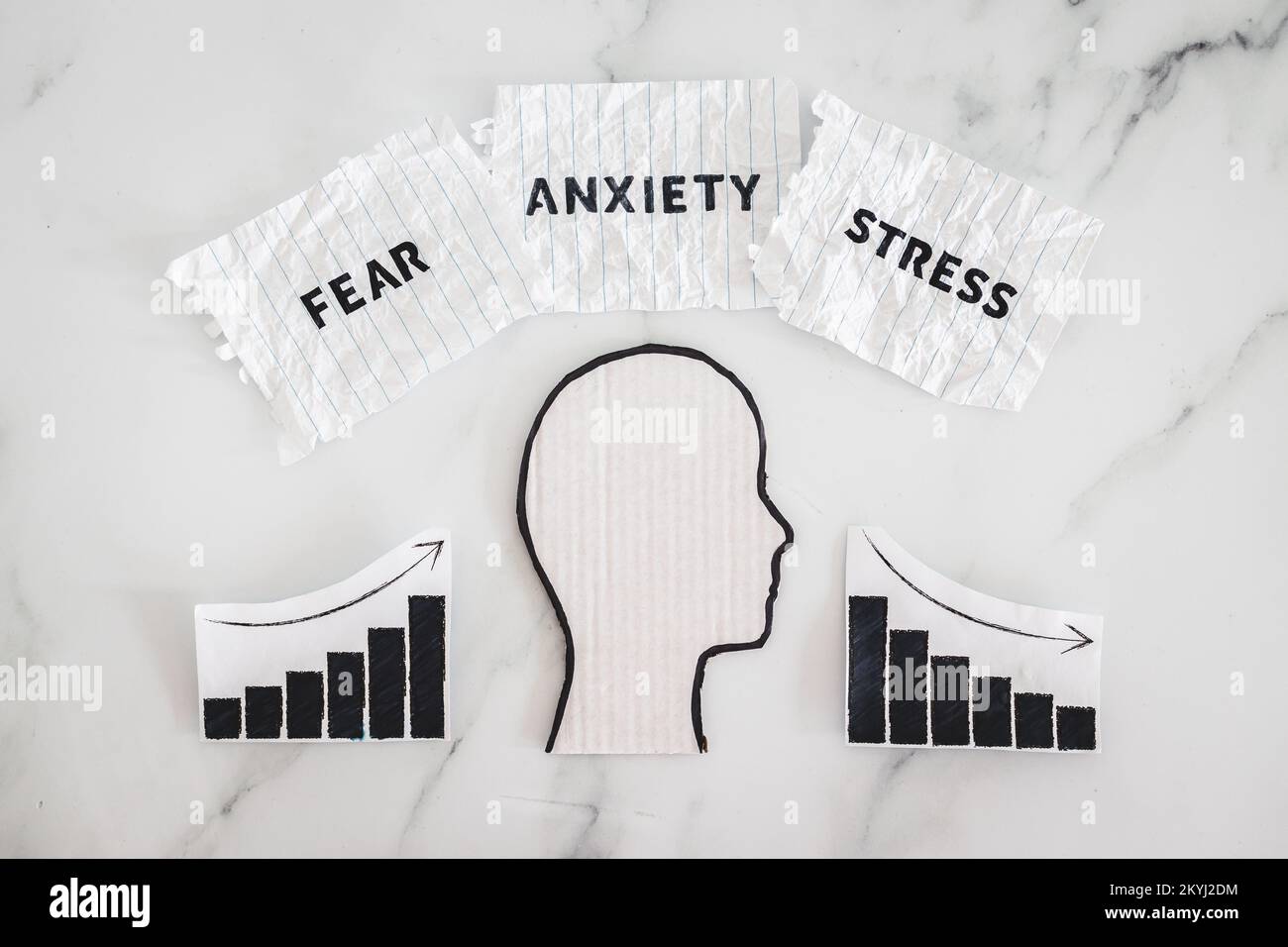 mental health and mood swings conceptual image, cardboard head with ...