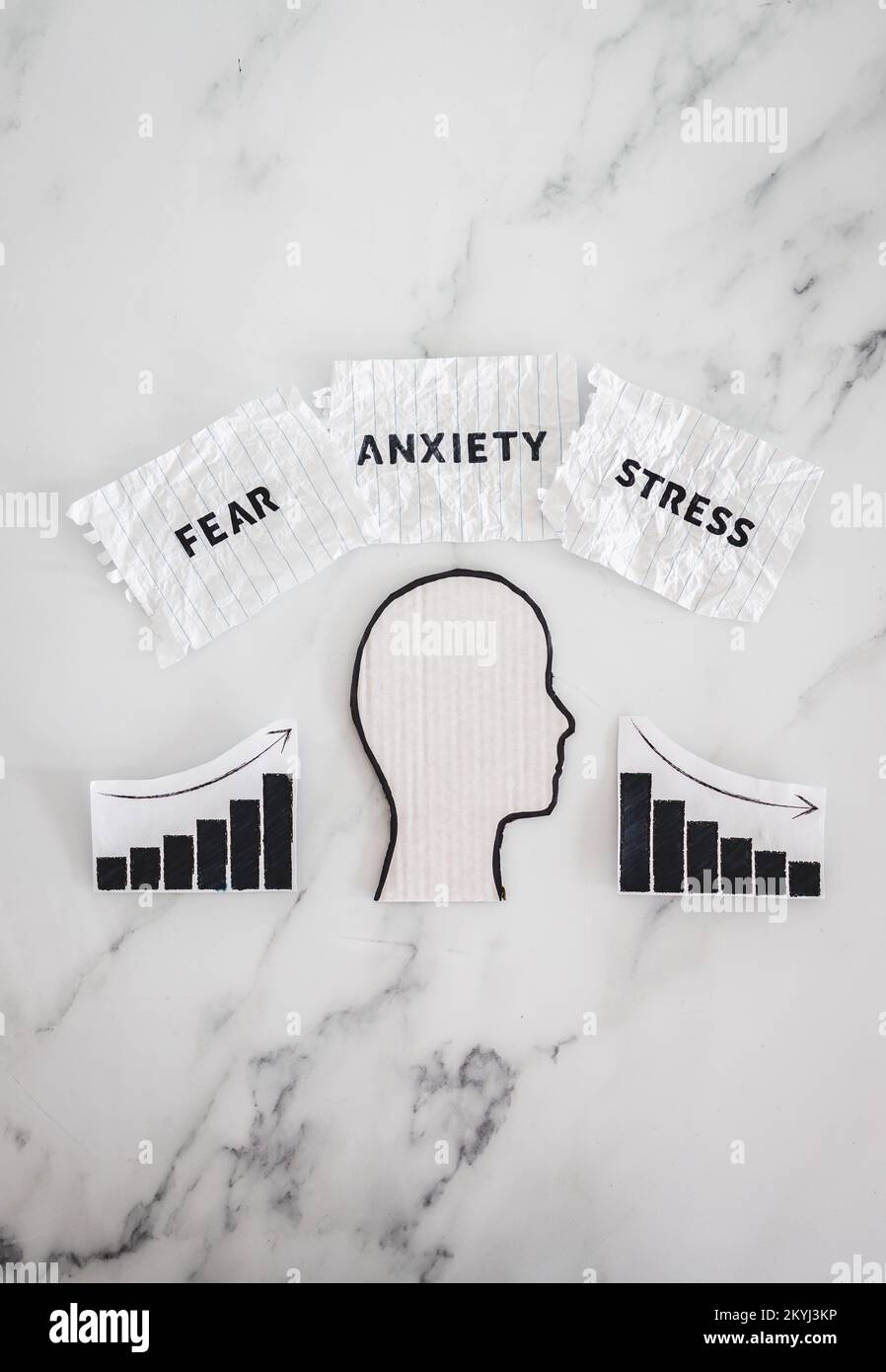 mental health and mood swings conceptual image, cardboard head with ...