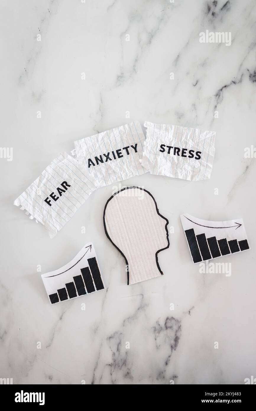mental health and mood swings conceptual image, cardboard head with ...