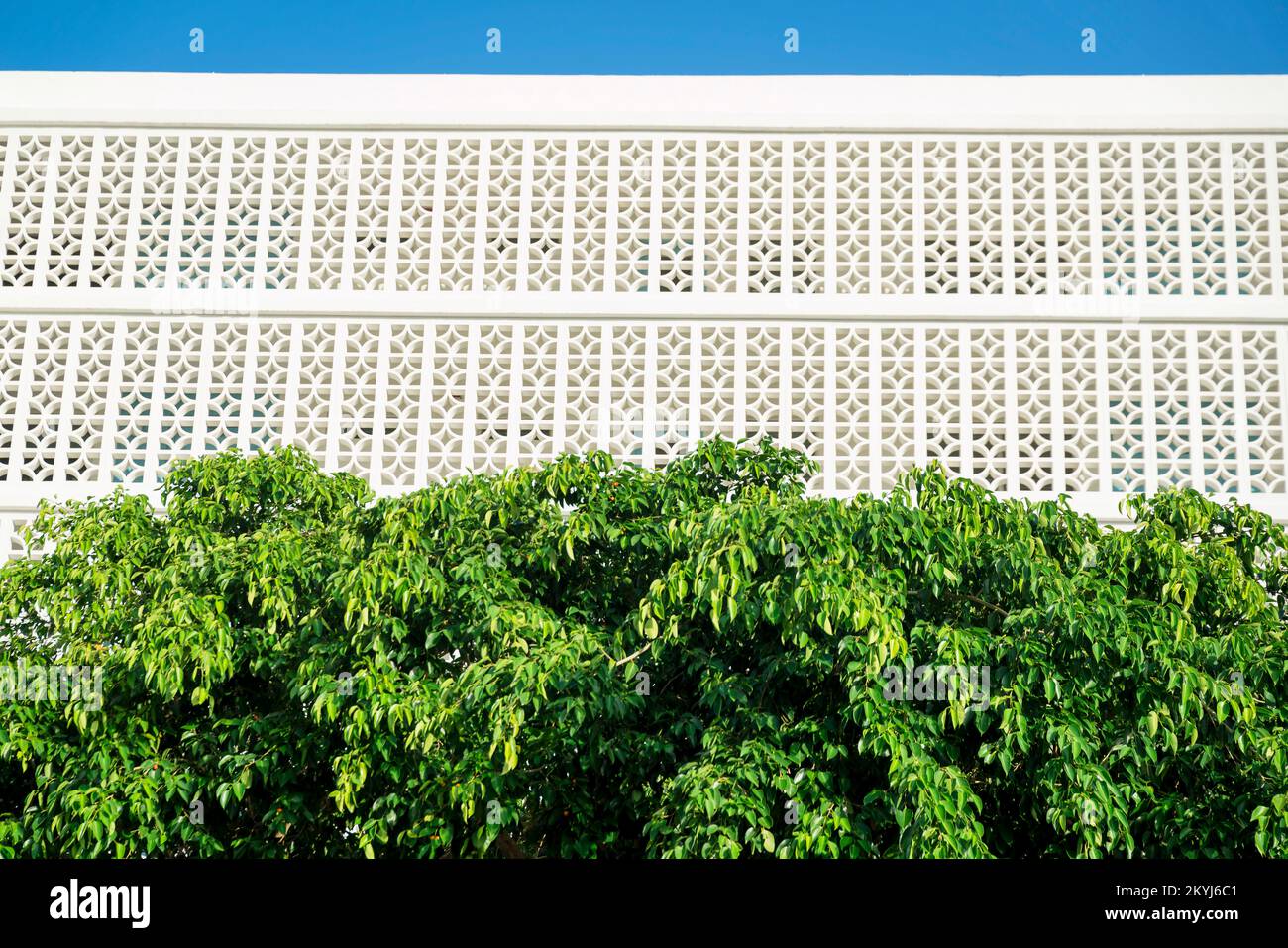 Green lush leaves of trees below the building with masonry screen wall ...