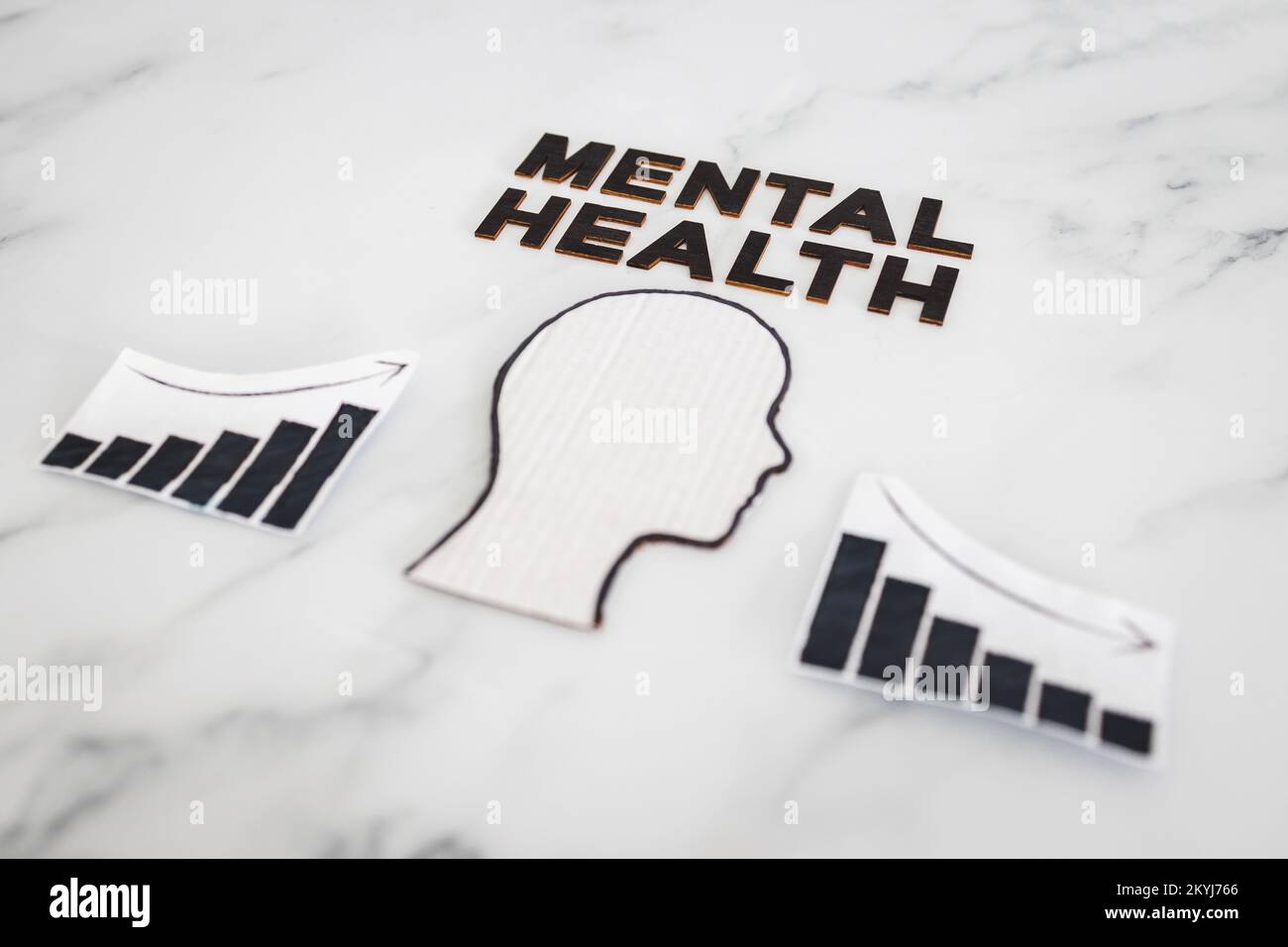 mental health and mood swings conceptual image, cardboard head with ...