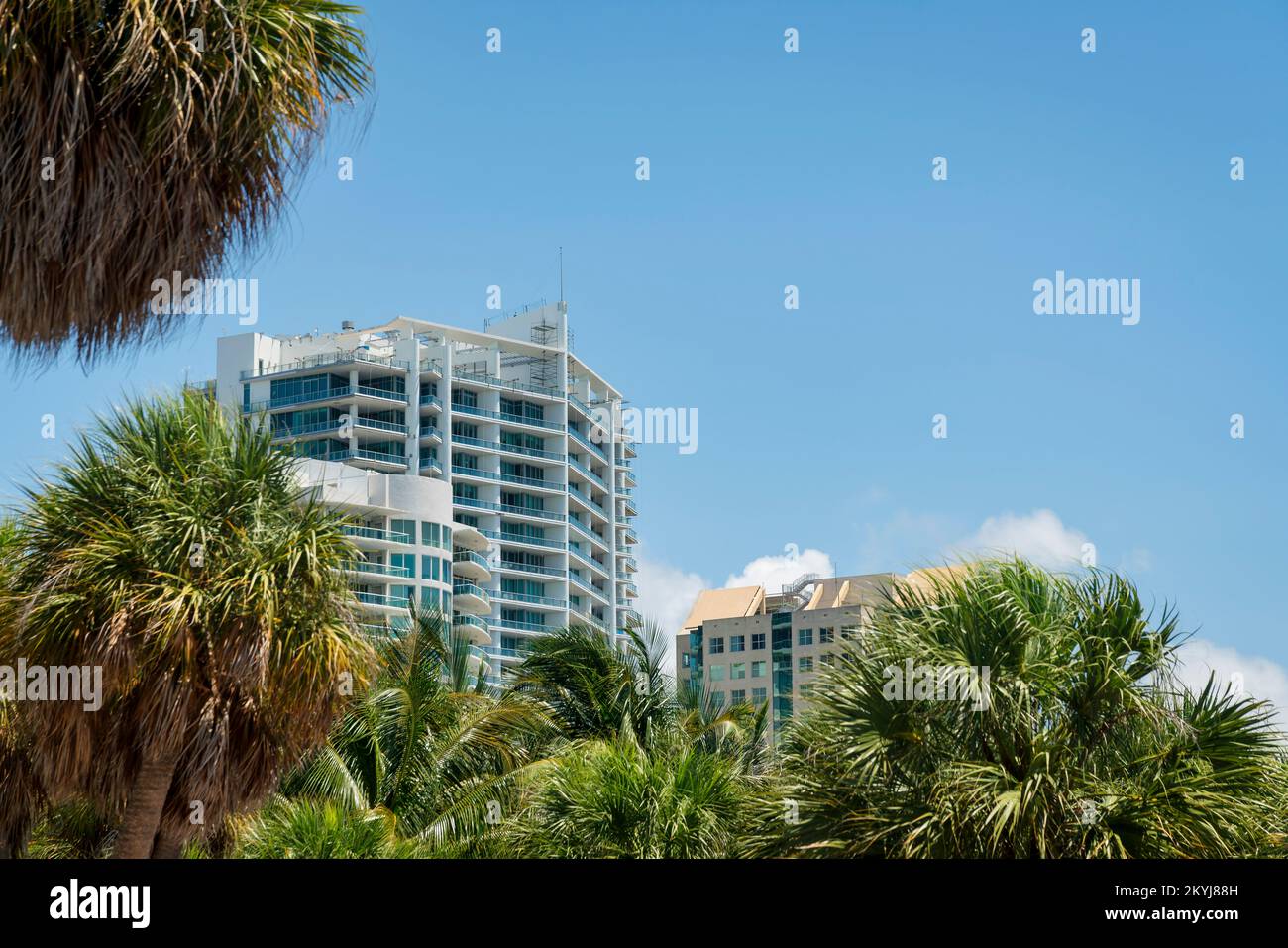 Views of two high rise buildings behind the palm trees at Miami ...