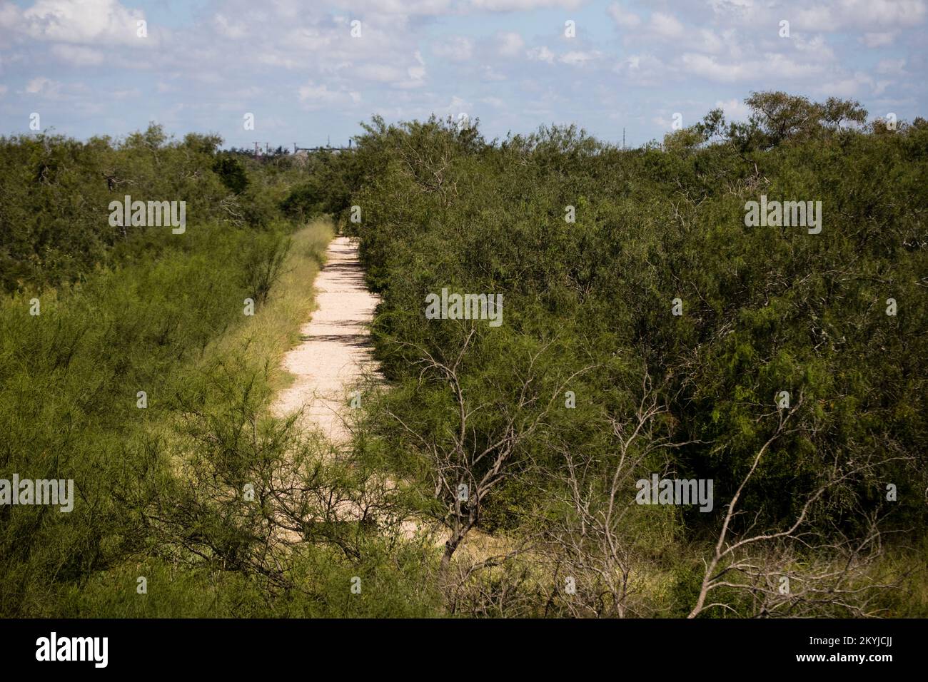 Birding in the Rio Grande Valley of South Texas Stock Photo - Alamy