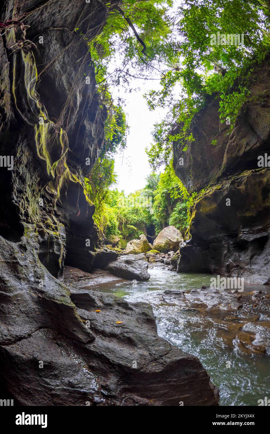 Hidden canyon in Bali with epic cliffs and river running through for ...