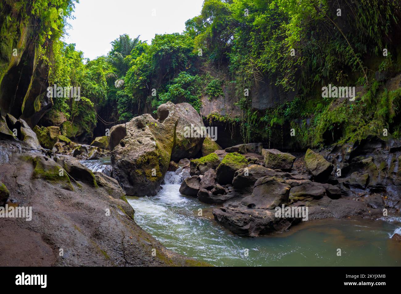 Balinese vines hi-res stock photography and images - Alamy