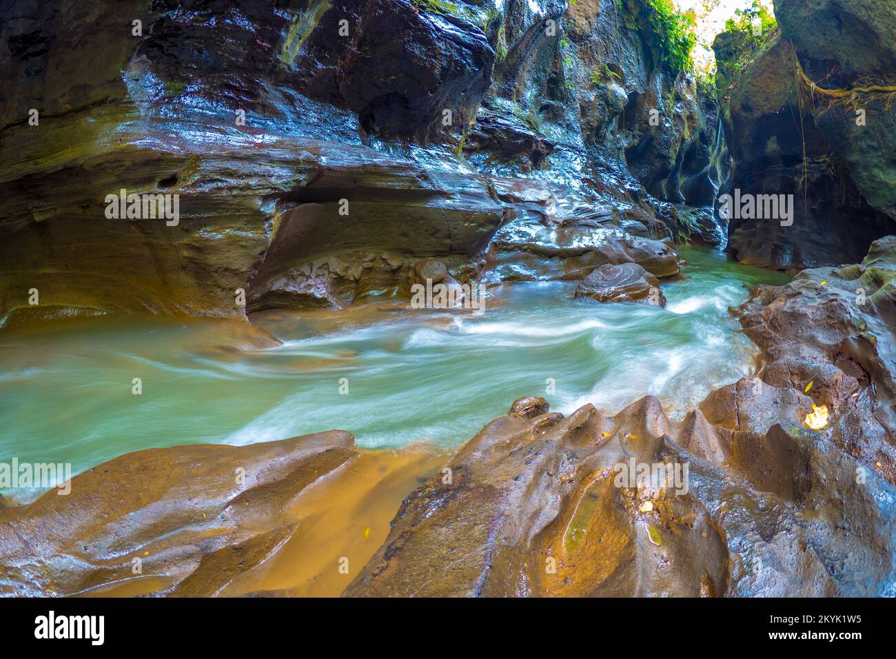 Hidden canyon in Bali with epic cliffs and river running through for Canyoning, Beji Guwang ...