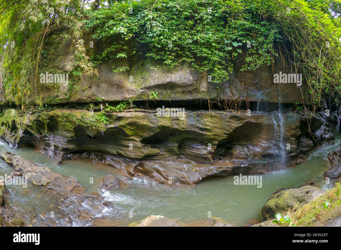 Balinese vines hi-res stock photography and images - Alamy