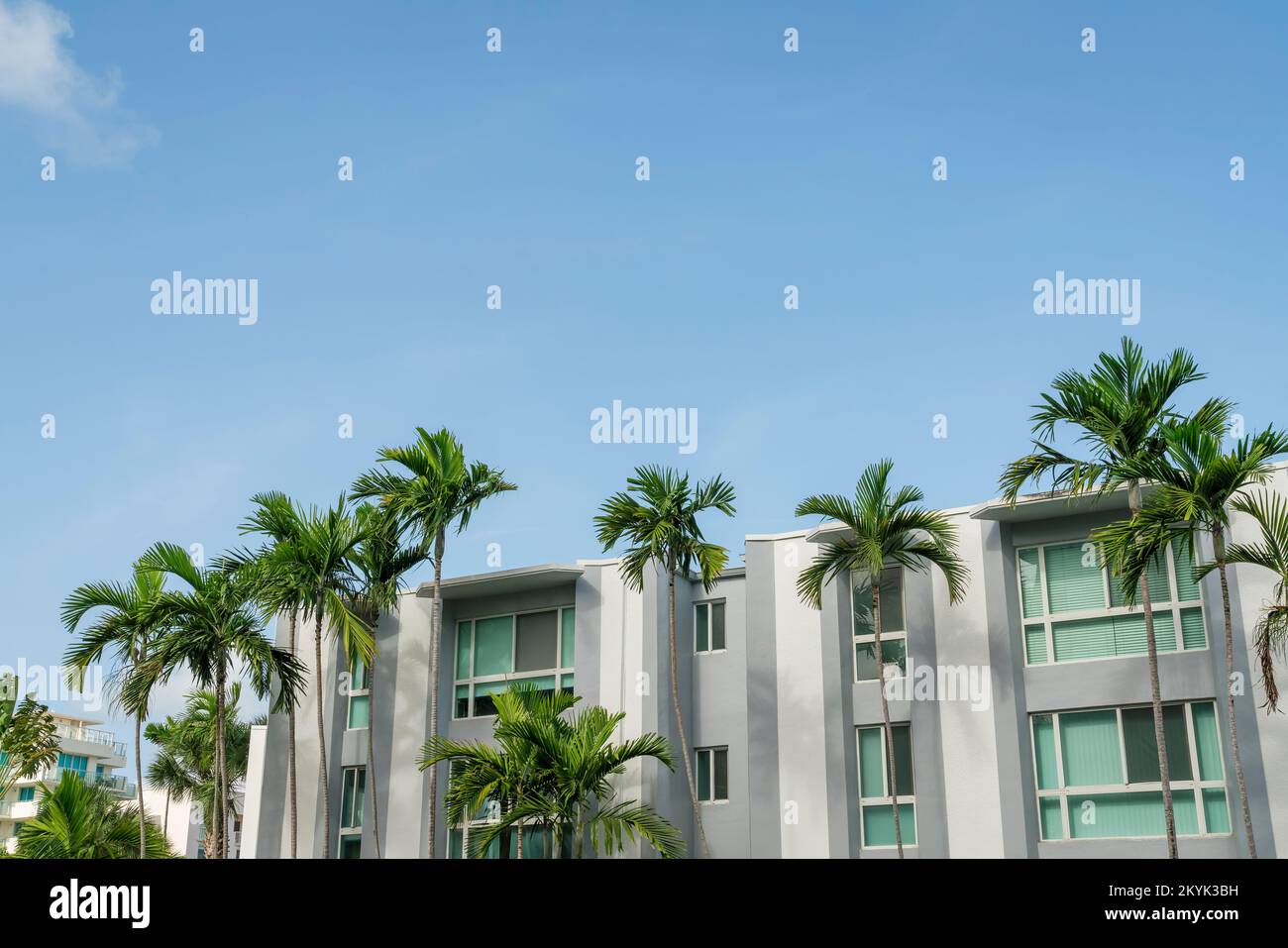 Palm trees outside a low rise apartment with paned glass windows at ...