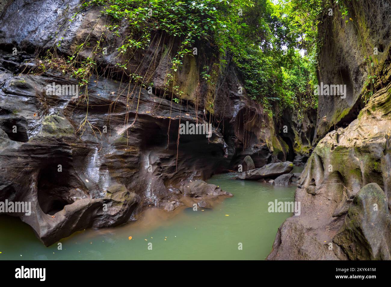 Hidden canyon in Bali with epic cliffs and river running through for ...
