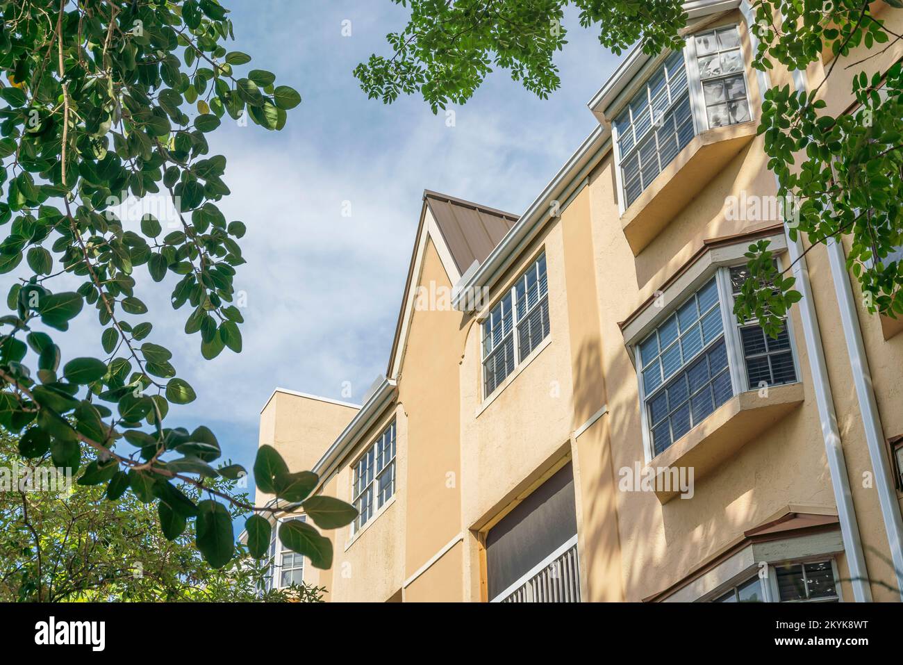 Views of tree leaves and residential building from below at Miami ...