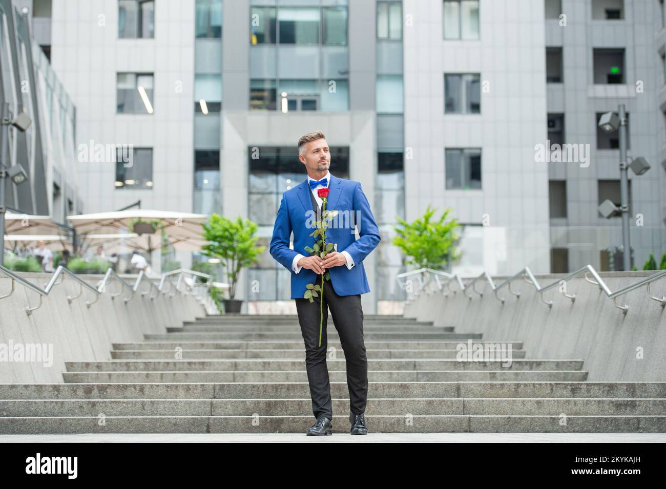 elegant man bridegroom in tuxedo. bridegroom wearing tuxedo bowtie ...