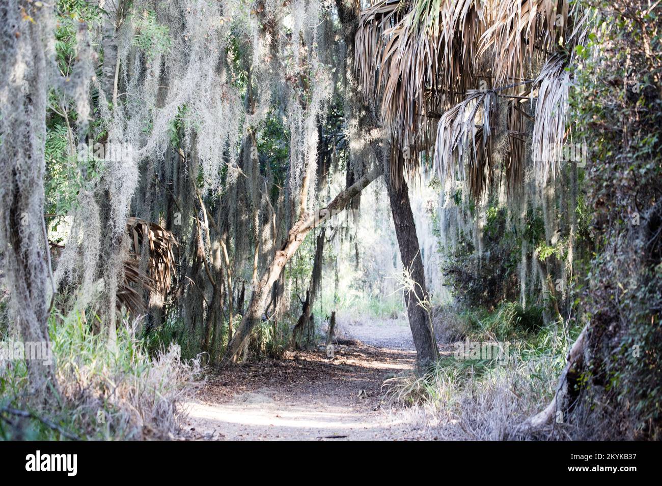 Birding in the Rio Grande Valley of South Texas Stock Photo - Alamy