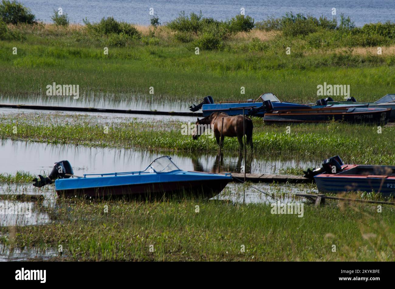 Lake with a jetty. rural landscape Stock Photo - Alamy